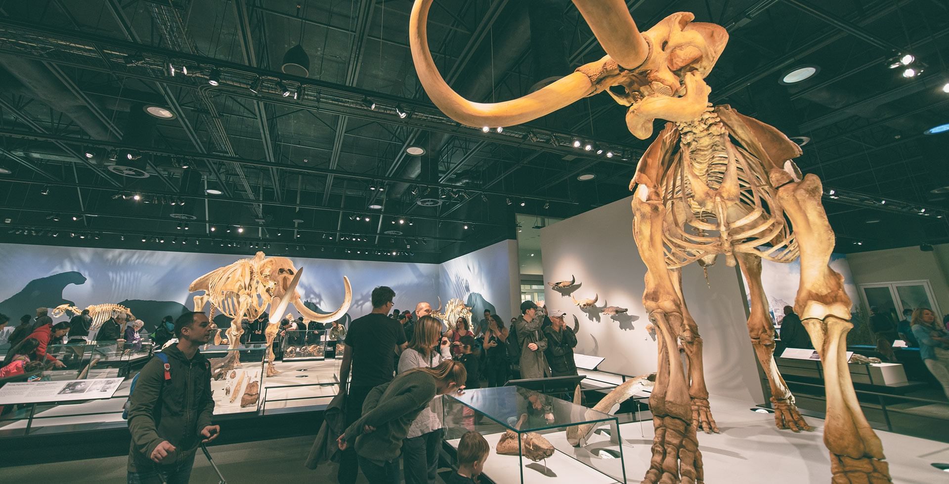 Edmonton Museum Wedding