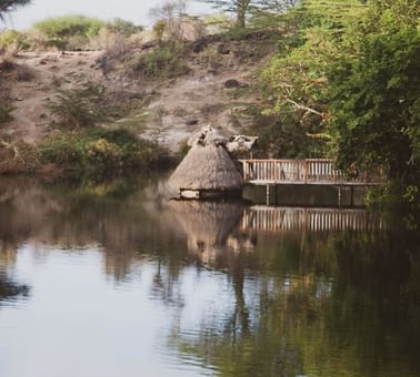 Tsavo Safari Experiences | Mzima Springs Kenya | Tsavo West National Park