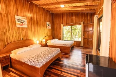 Santa Elena Forest Photos - Jaguarundi Lodge