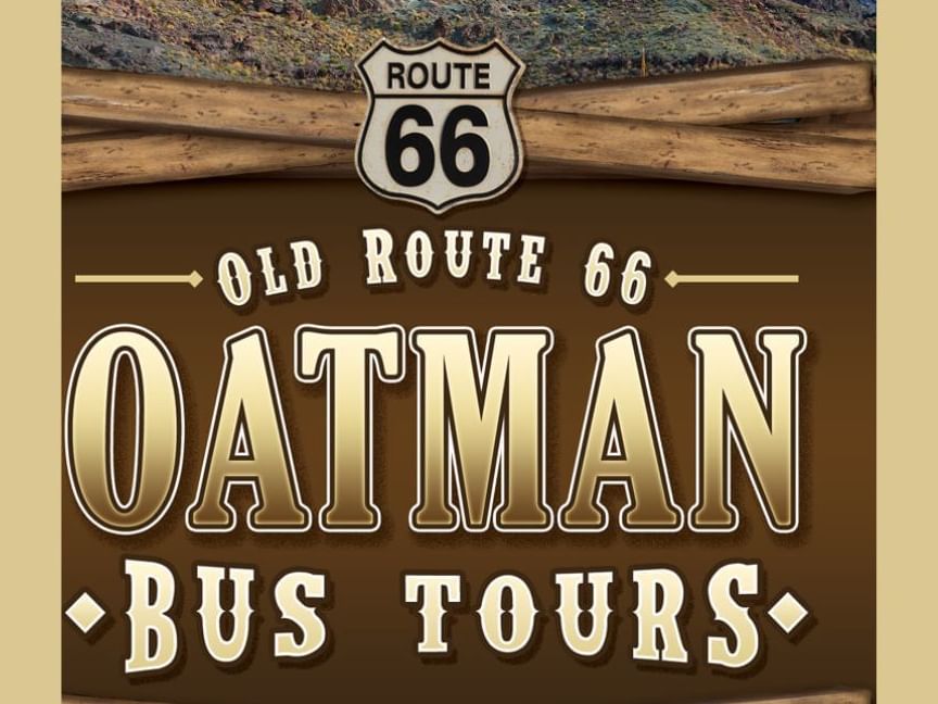 Route 66 Oatman Arizona Bus Tour - London Bridge Resort