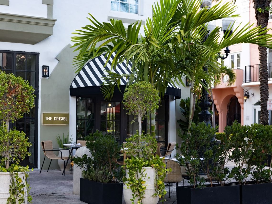 The Drexel | Española Restaurants | Esmé