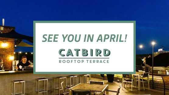 Catbird Rooftop Terrace | Hotel Weyanoke