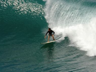 Best Surf Competitions to Watch in the North Shore in 2024 and 2025 ...