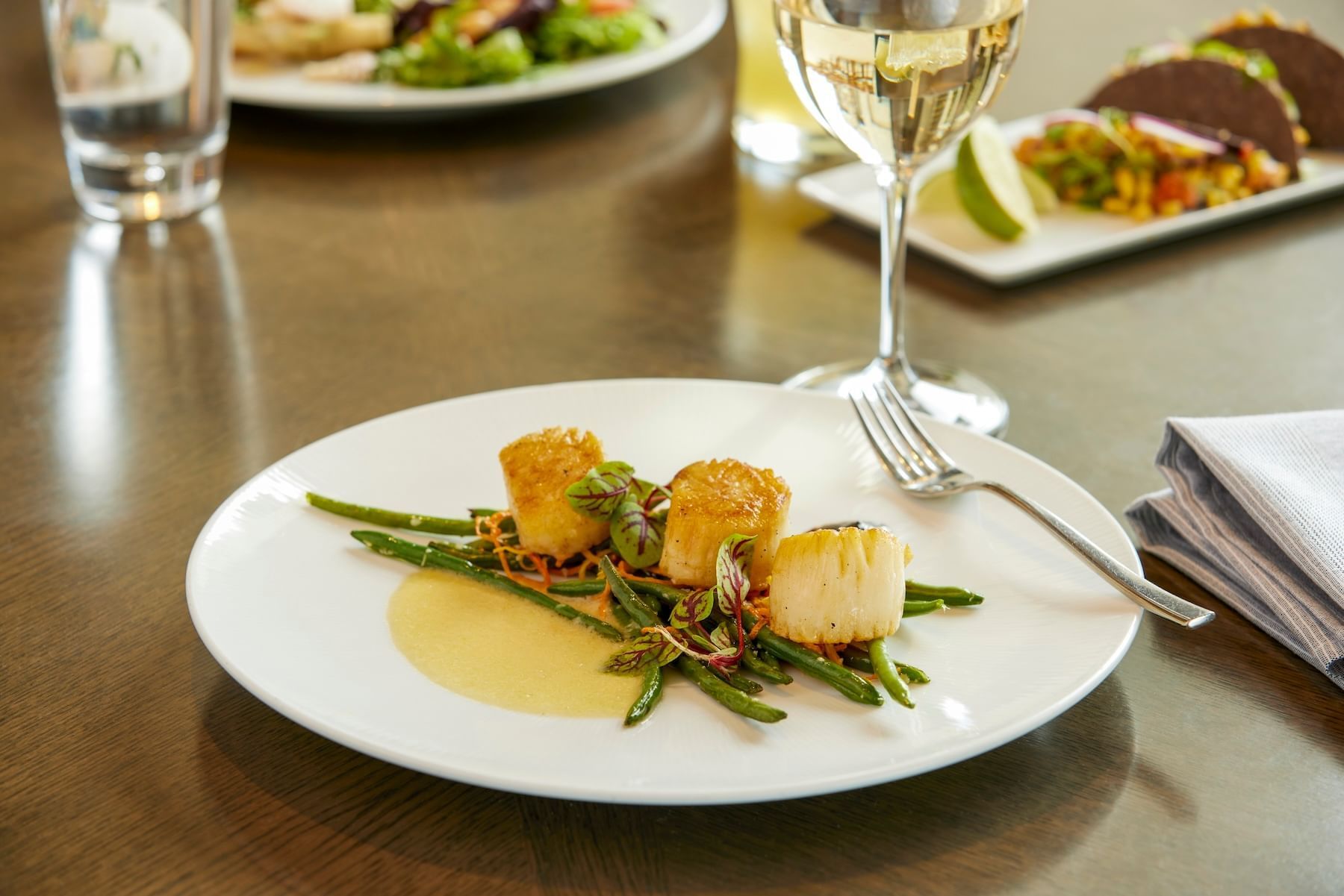 Stein Collection Contact, Careers, & Press