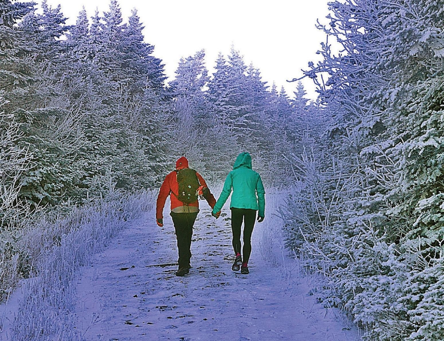 The Manchester View - Hotel In Manchester VT