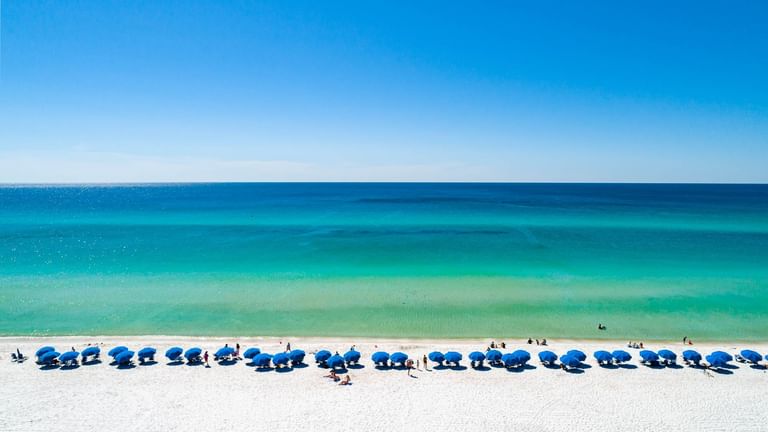 Discover The Beach Club | WaterSound Inn