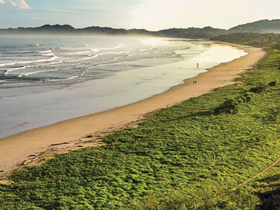 Ecological Restoration with Costa Verdes | Tierra Magnifica Hotel