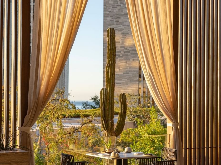 Cascabel | Cabo Restaurants | The Club at Solaz