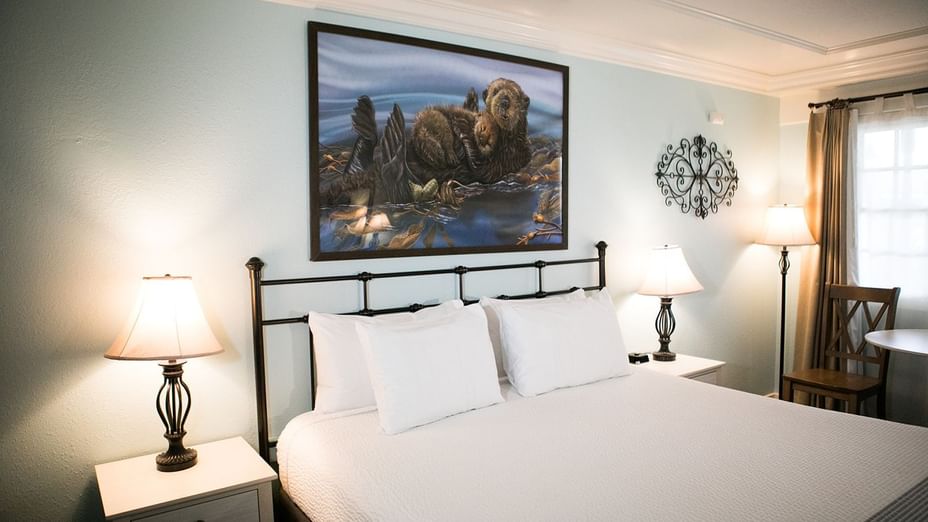 Hotel Rooms & Suites on Moonstone Beach - Sea Otter Inn