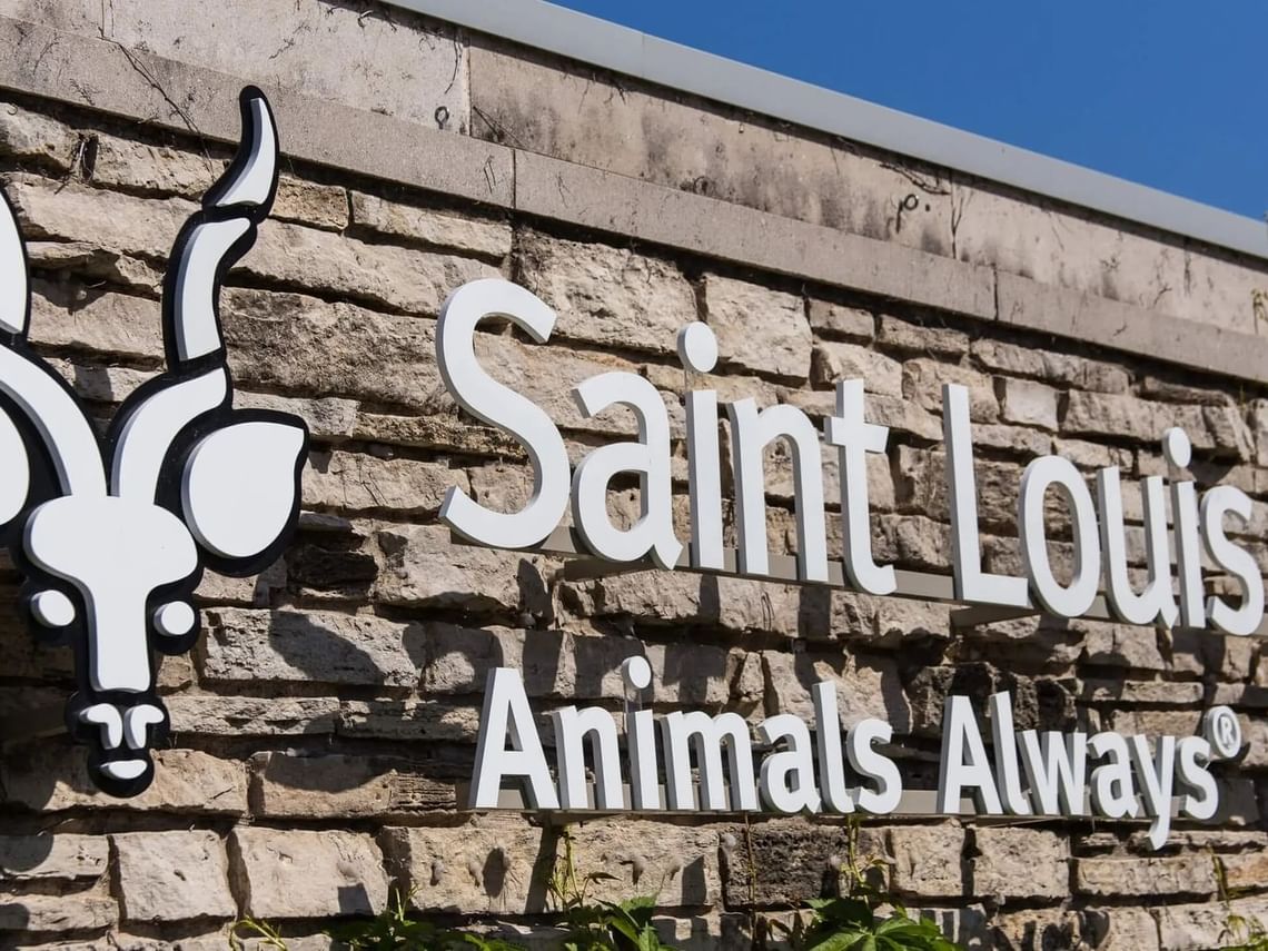 St. Louis Zoo | Things to Do in St. Louis MO