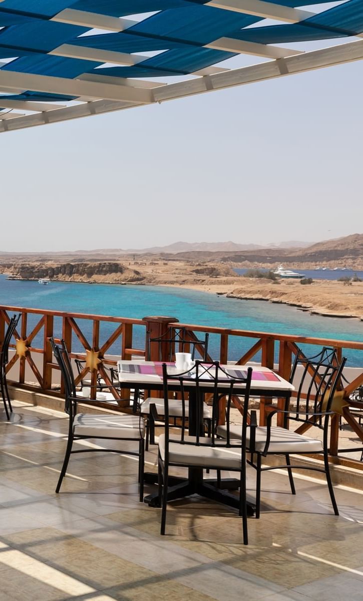 Restaurant in Sharm El Sheikh | Pickalbatros Sharm Resort