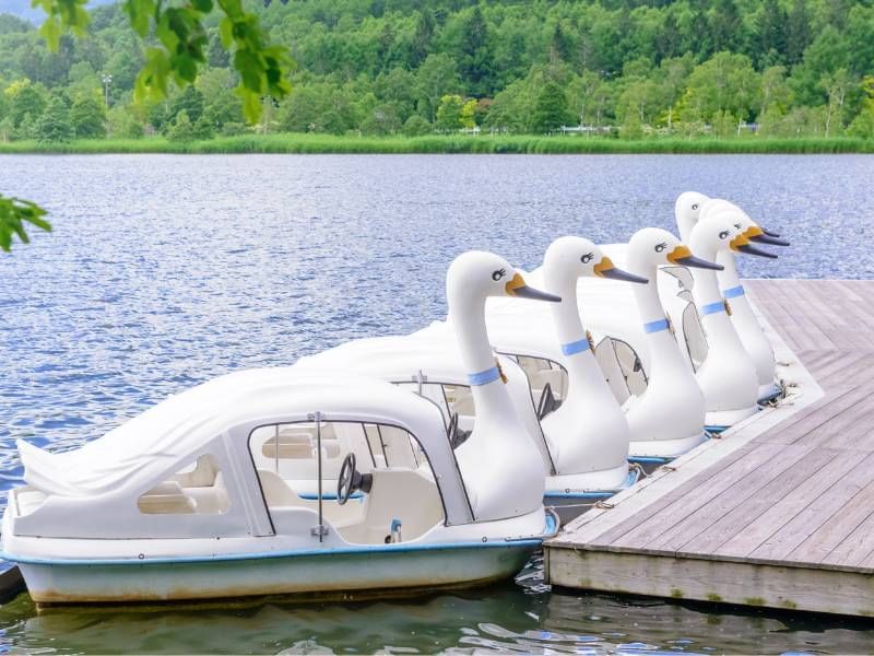Swan Boat Ride Swan Boat Ride Stock Photo, Picture And Royalty Free