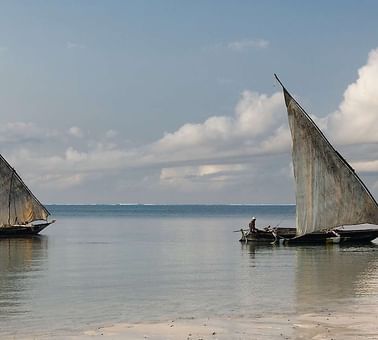 Kenya Holidays | Mombasa Marine Park | Shimba Hills National Reserve