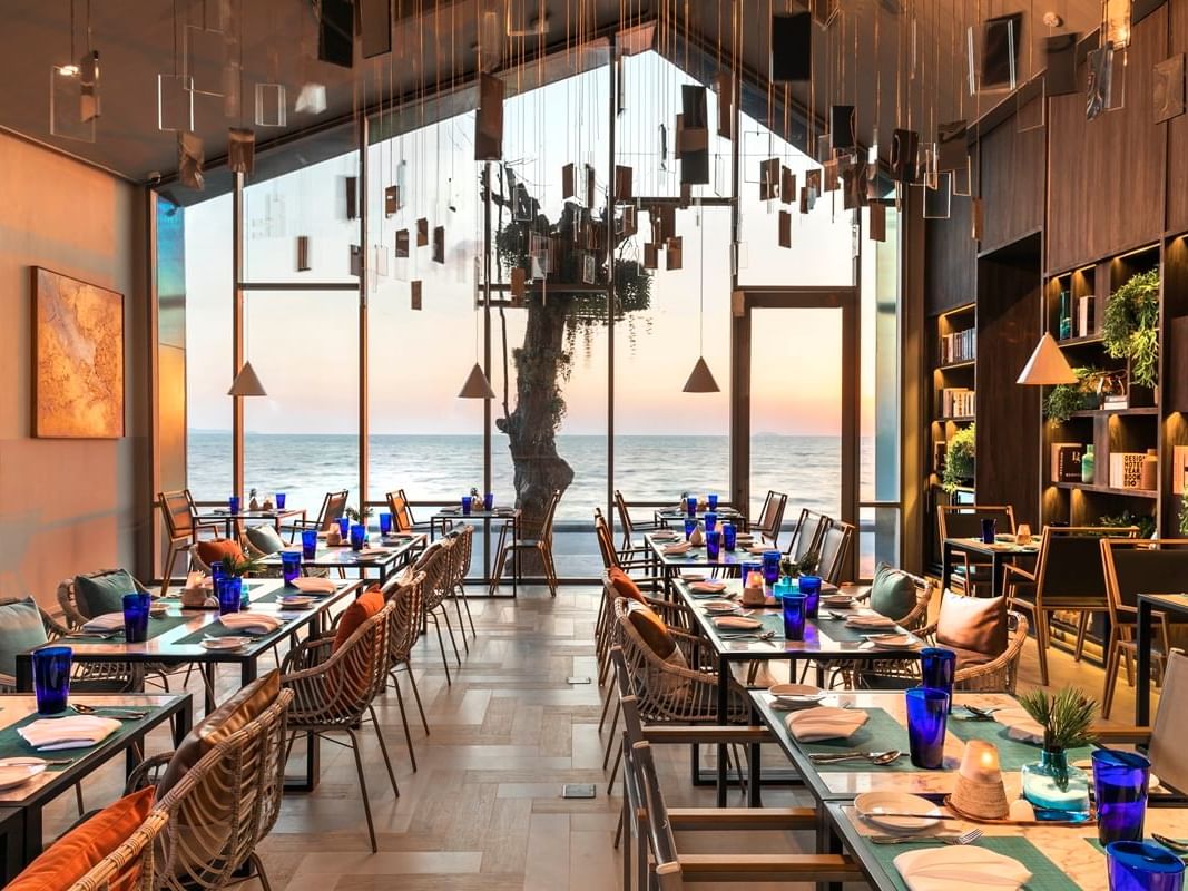 Salt Restaurant | Place to Eat in Pattaya | Restaurant Dining | U Jomtien