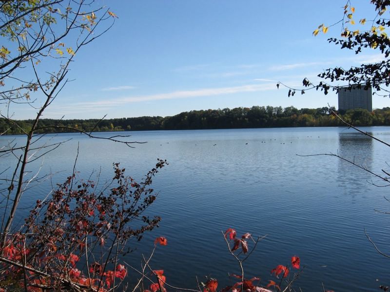 Fresh Pond Fresh Pond East, Plymouth (updated Prices 2025)