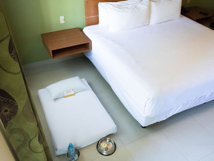 Hotel Araiza Calafia | Hoteles en Mexicali, Baja California