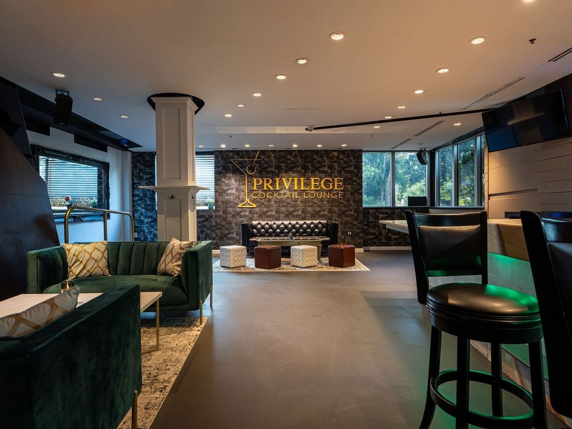 Albion Cocktail Lounge | Dining at Albion Miami Beach