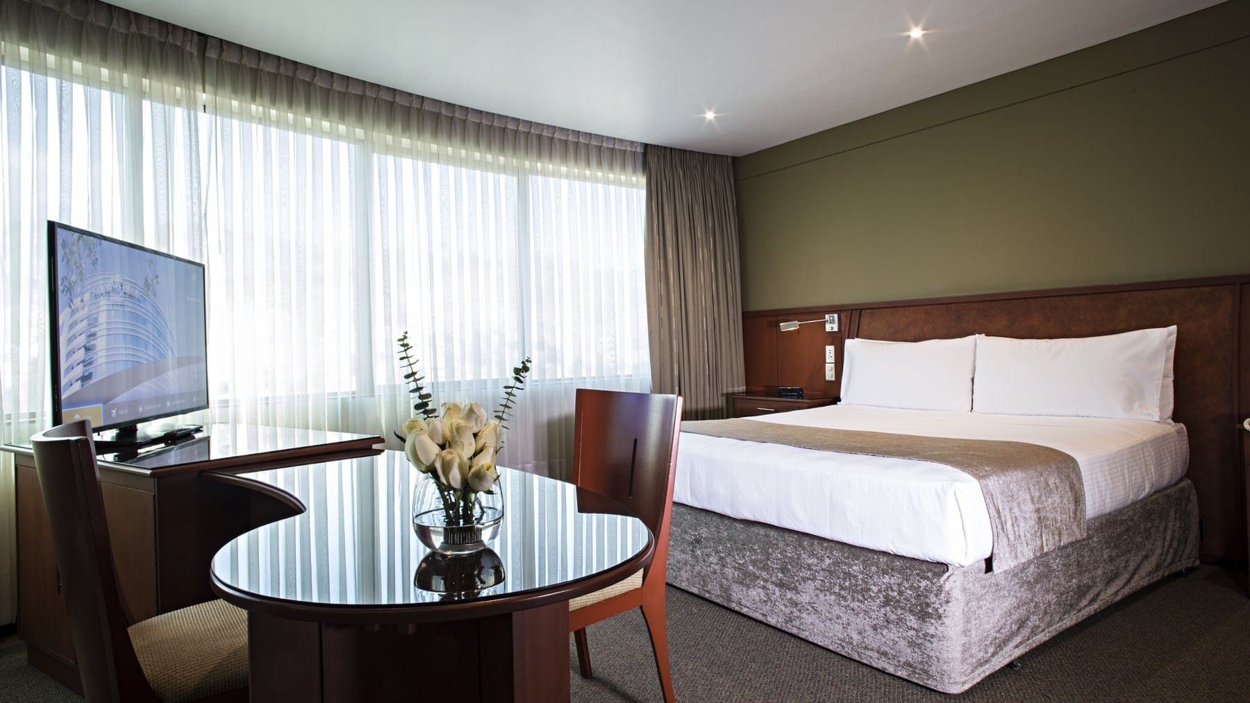 Single Suite - Suites Camino Real