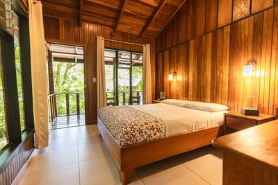 Santa Elena Forest Photos - Jaguarundi Lodge