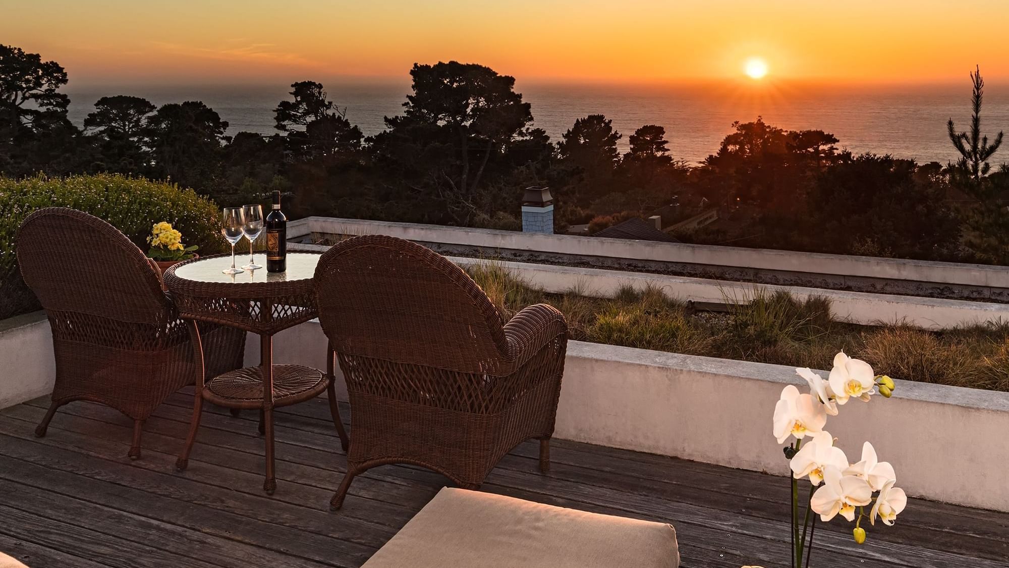 Premium Ocean View King | Tally Ho Inn | Accommodation