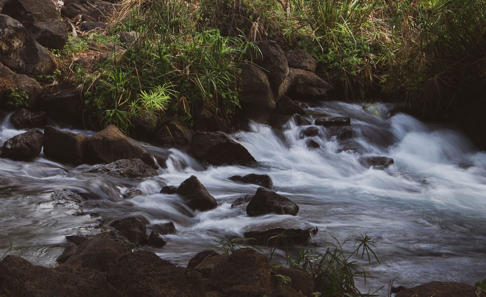 Tsavo Safari Experiences | Mzima Springs Kenya | Tsavo West National Park