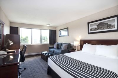 Gallery | Cranbrook Hotels | Sandman Hotel Cranbrook
