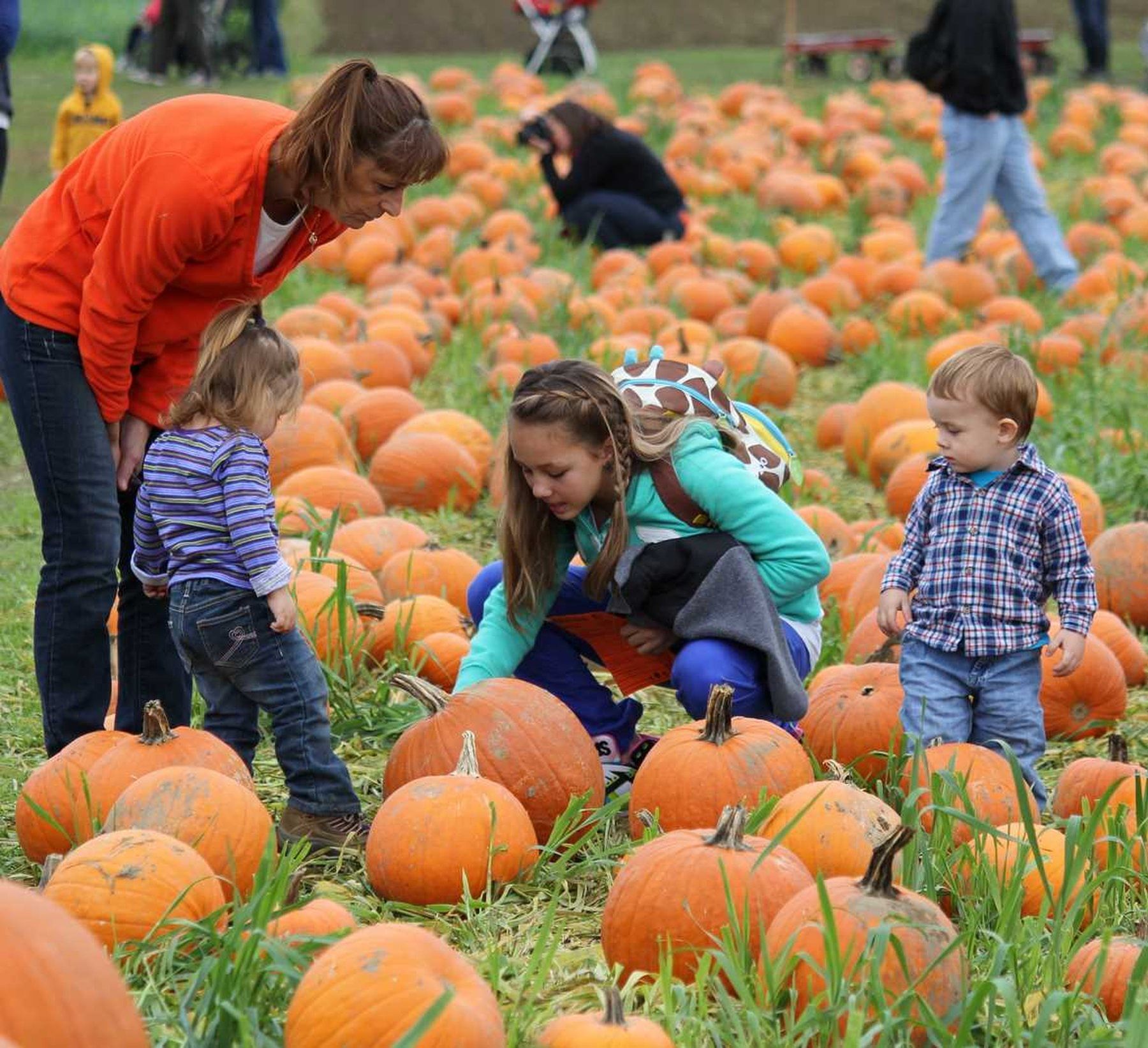 The Manchester View - Hotel In Manchester VT