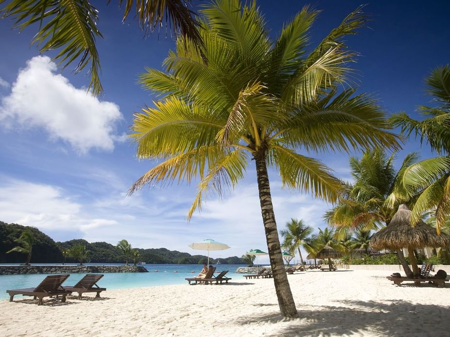 Private Beach | Palau Royal Resort Facilities