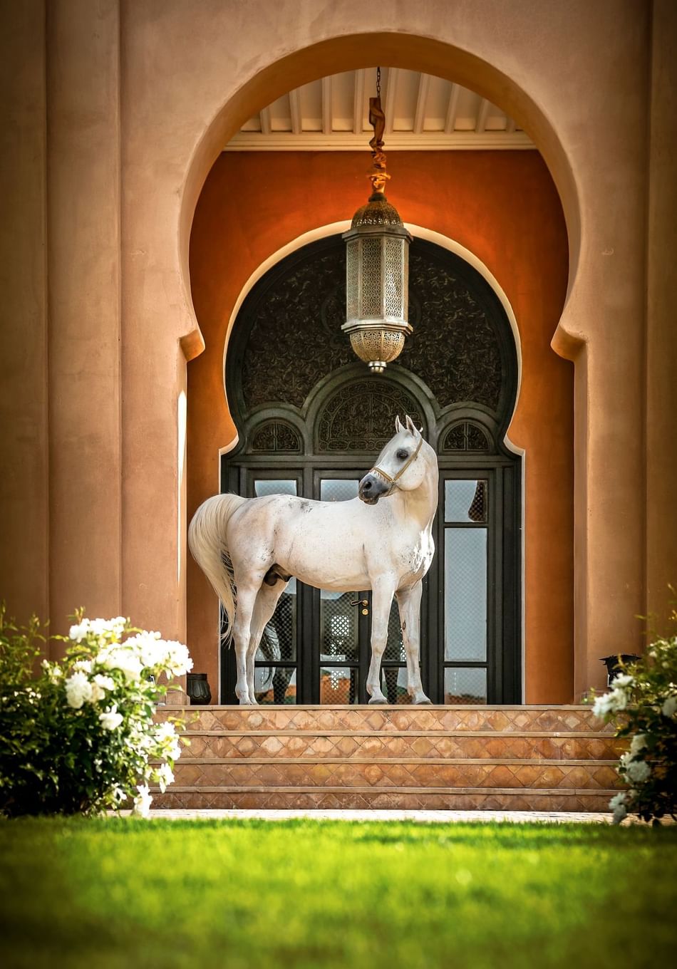 Hôtel 5 étoiles avec spa | Galerie Hôtel | Selman Marrakech