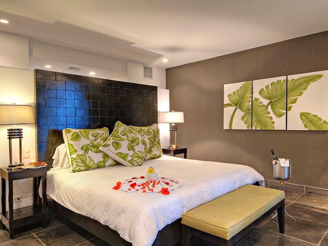 Forfait lune de miel pour explorateurs à Manuel Antonio, Costa Rica