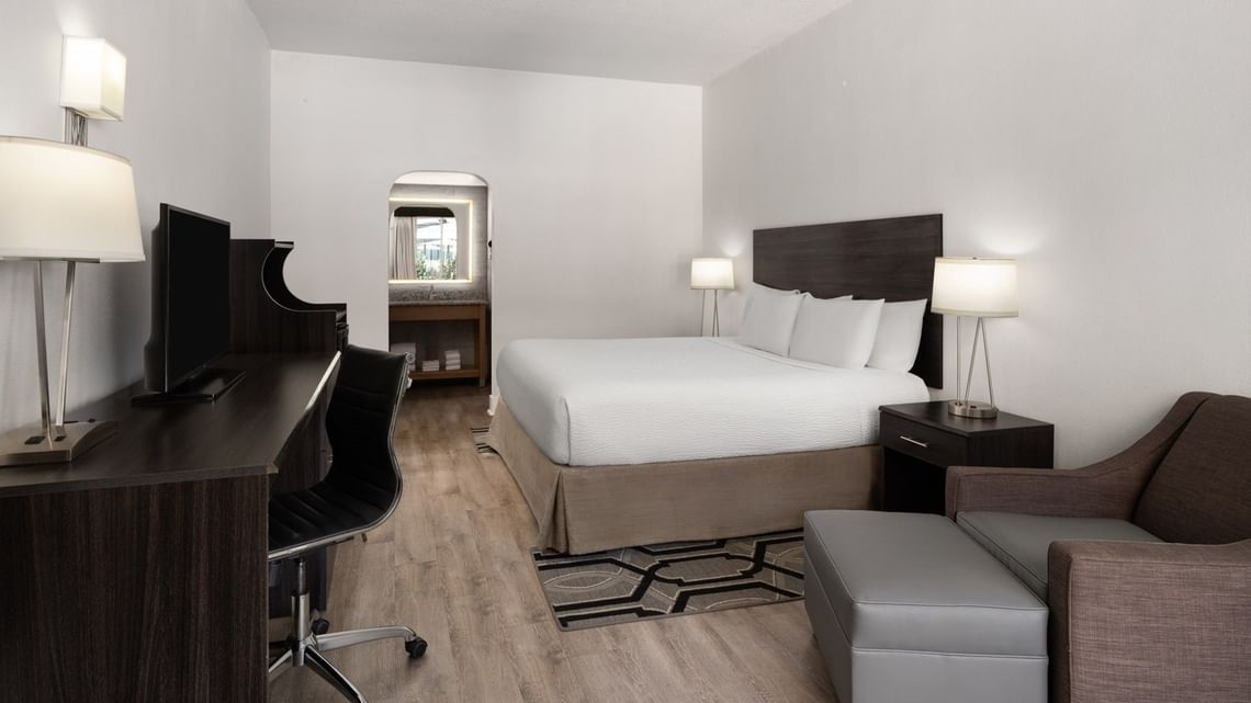 Deluxe King | The Harrison Hotel Downtown Hollywood