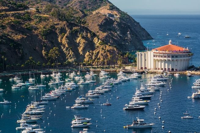 Catalina Package Specials