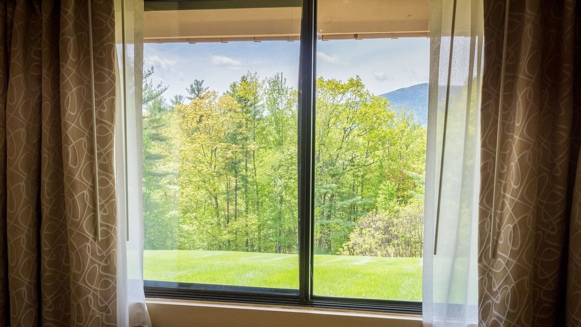 Mountain View Room 2 Queen Beds - Fox Ridge Resort