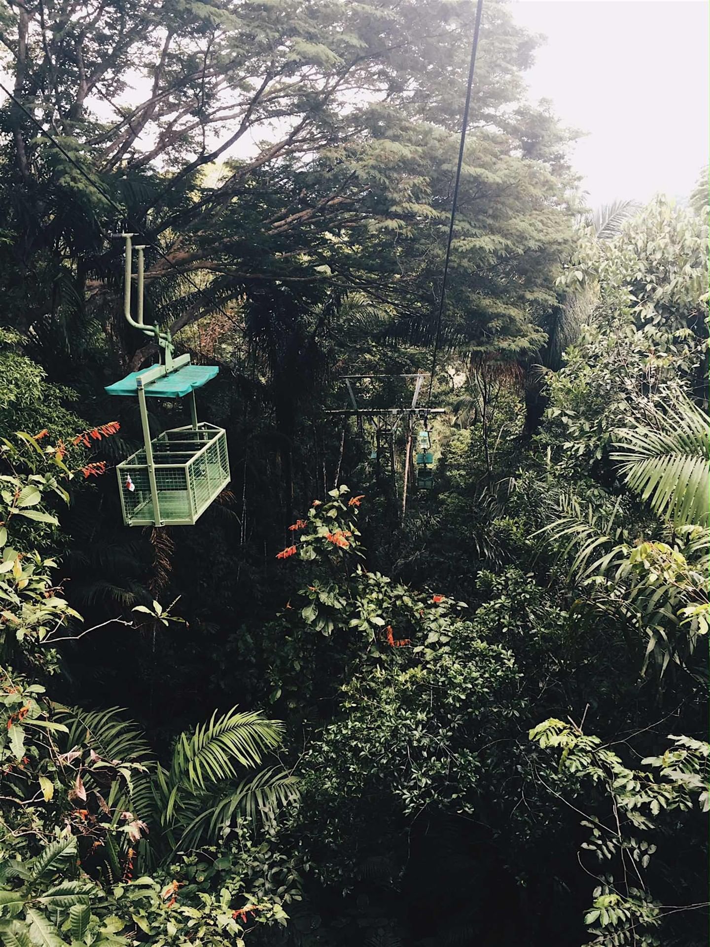 Panama Rainforest Activities | Gamboa Rainforest Reserve | Gamboa, Panama