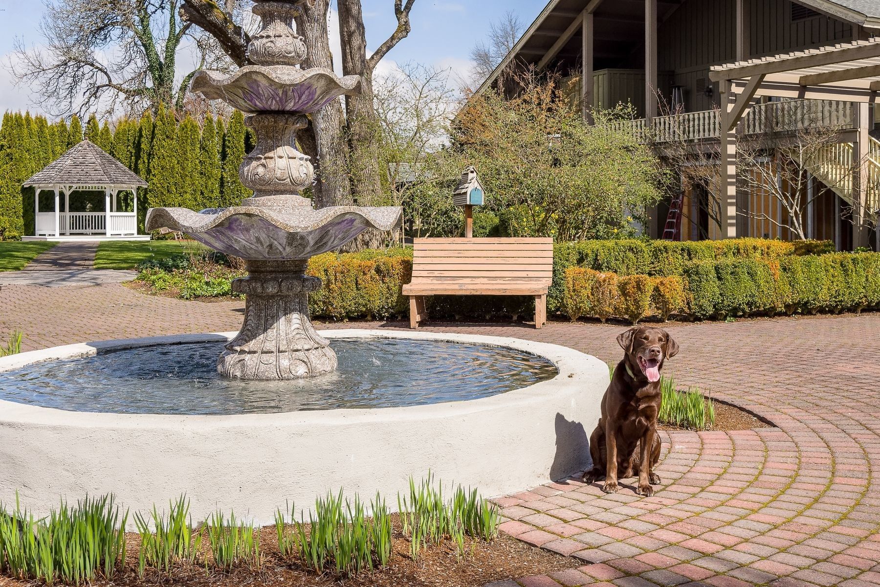 Being Green at Moonstone Hotel Properties!