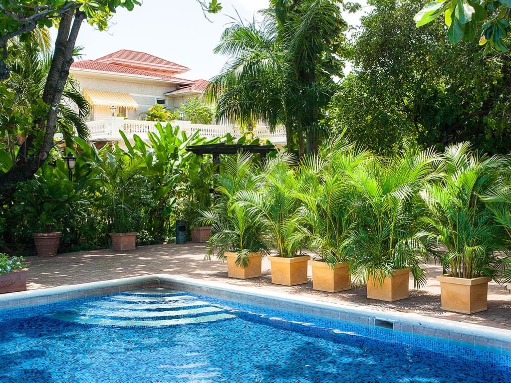 Advanced Booking | Jamaica Hotel Deals | Terra Nova All-Suite Hotel