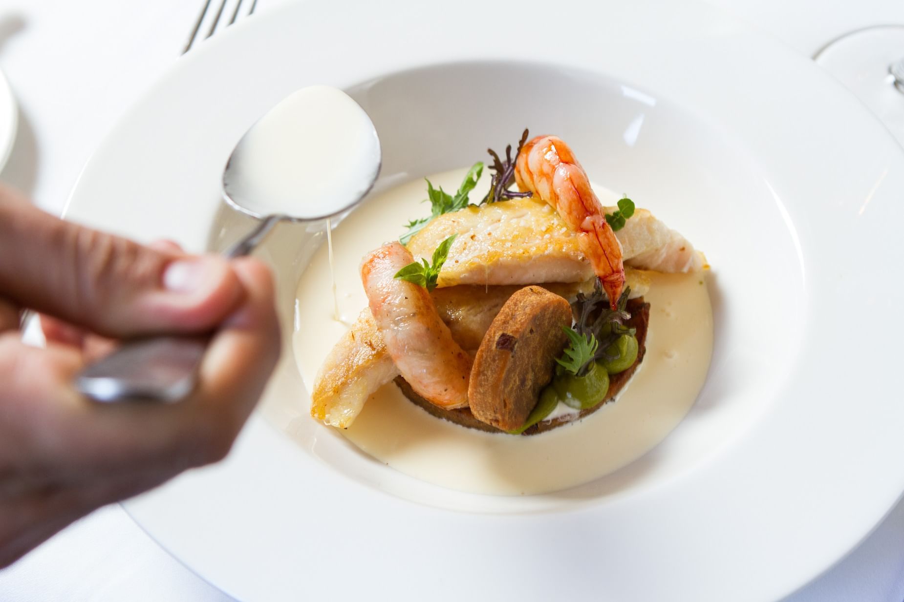 Restaurants & Bars In Santiago Chile - The Singular Santiago