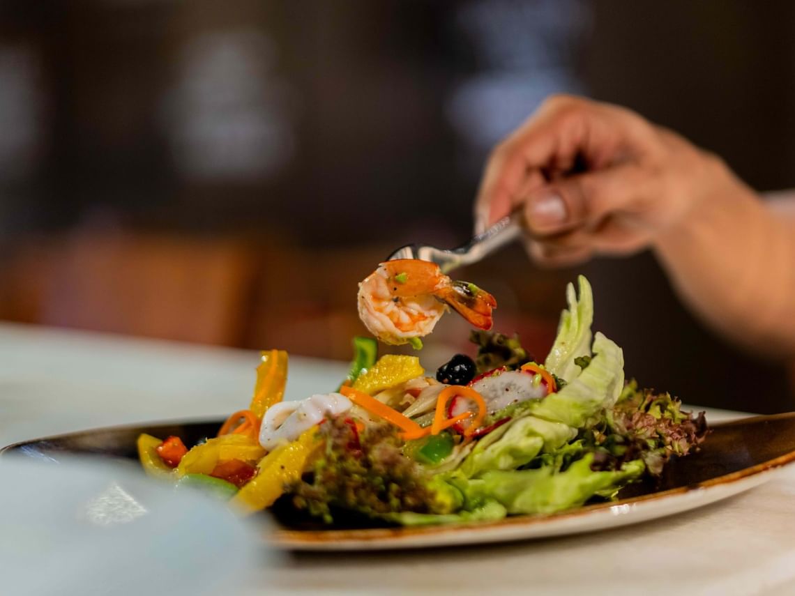 MINT Bar & Restaurant - Casual Dine in Karon Beach | Paradox Phuket