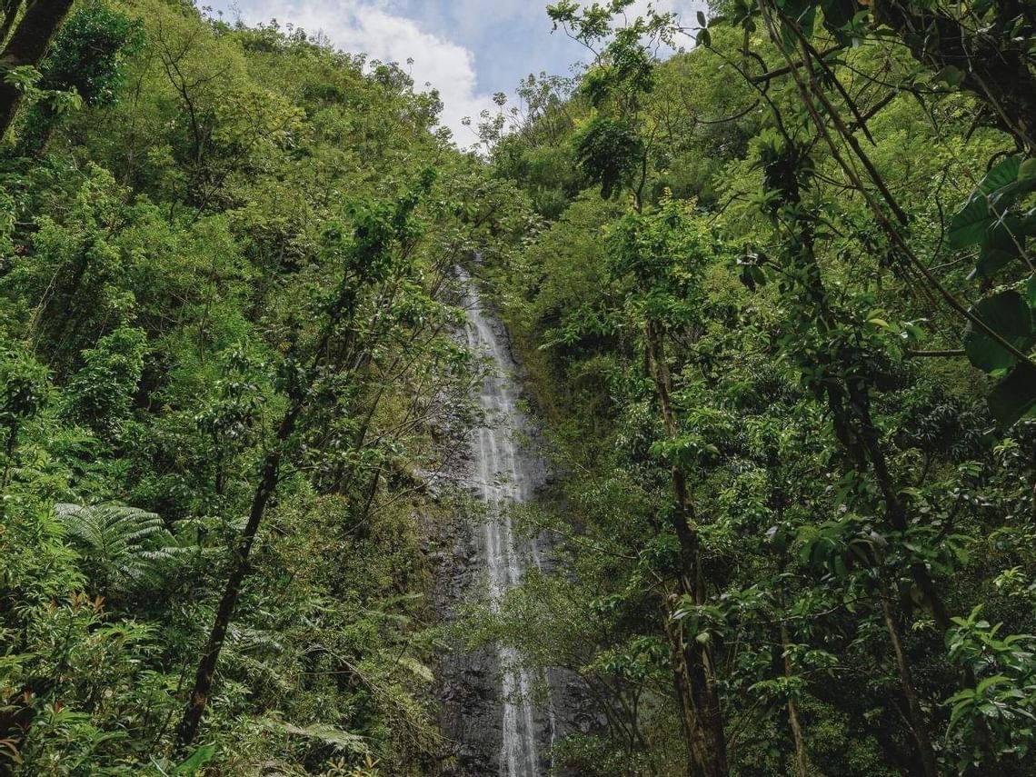 7 Famous Waterfalls to See on Oahu | Waikiki Resort Hotel