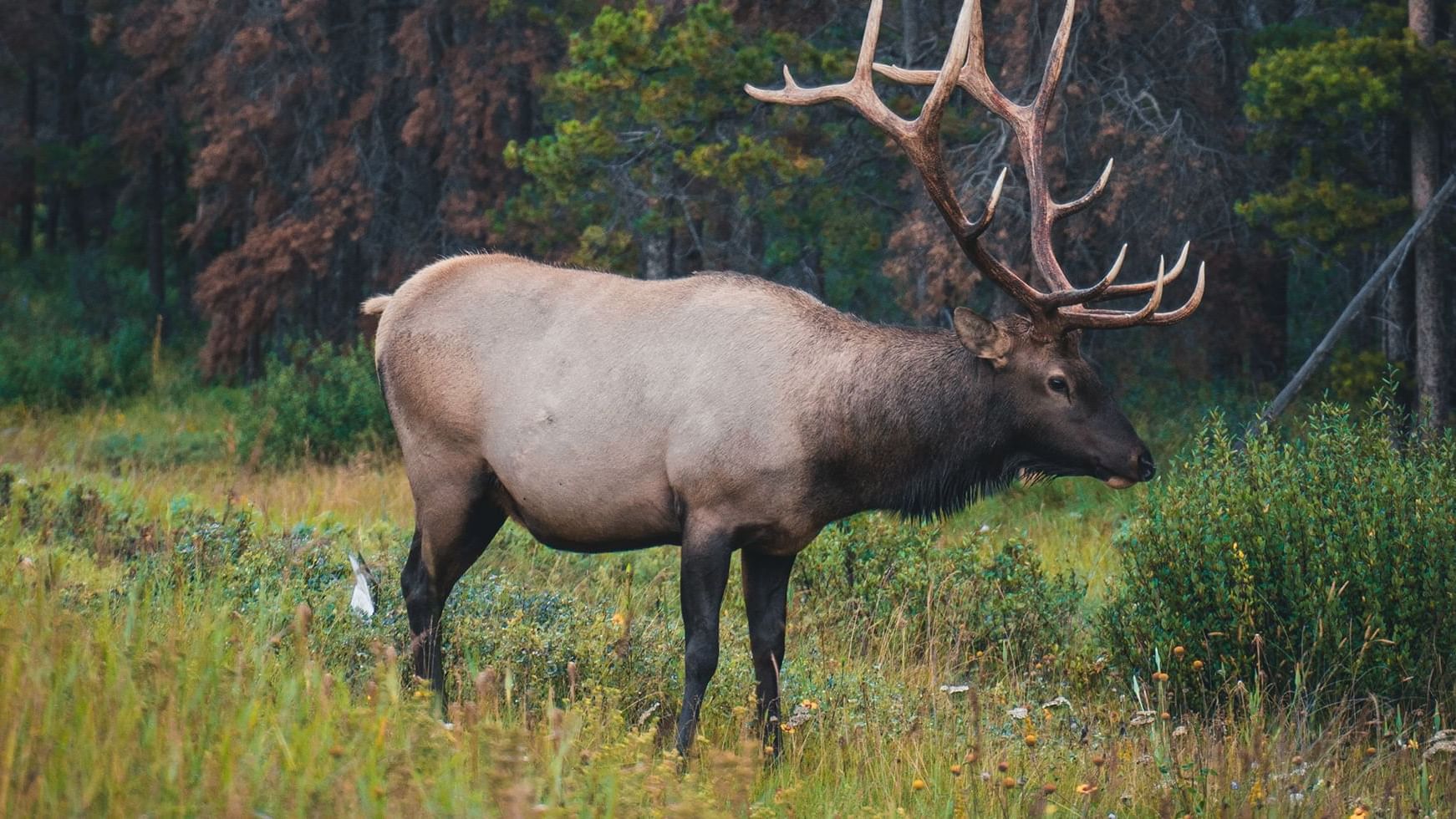 Discover Fun Summer Things To Do In Grimshaw, Alberta | Coast Hotels