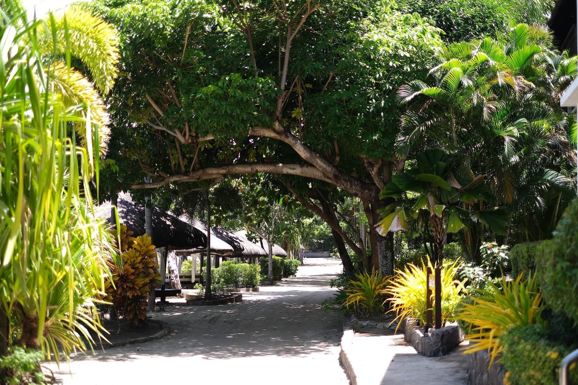 Accommodations in Laiya, Batangas | Palm Beach Resort