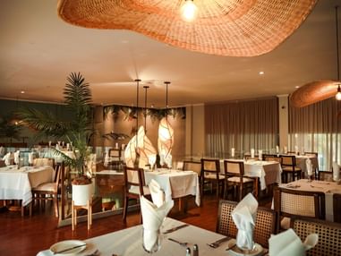 Experience the distinctive flavors of Latin America at Macondo ...
