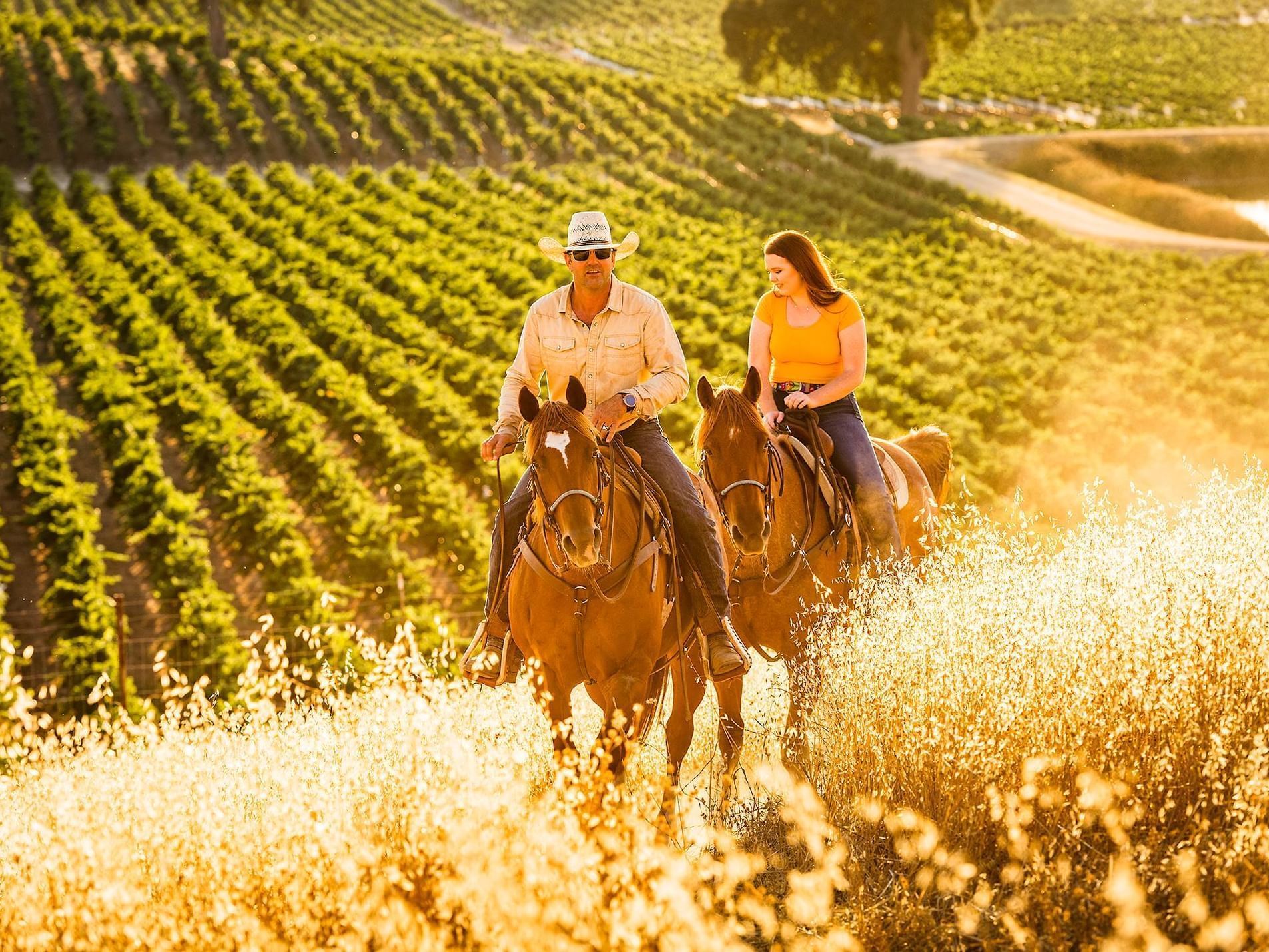 Allegretto Vineyard Resort | Paso Robles Hotels | Official Site