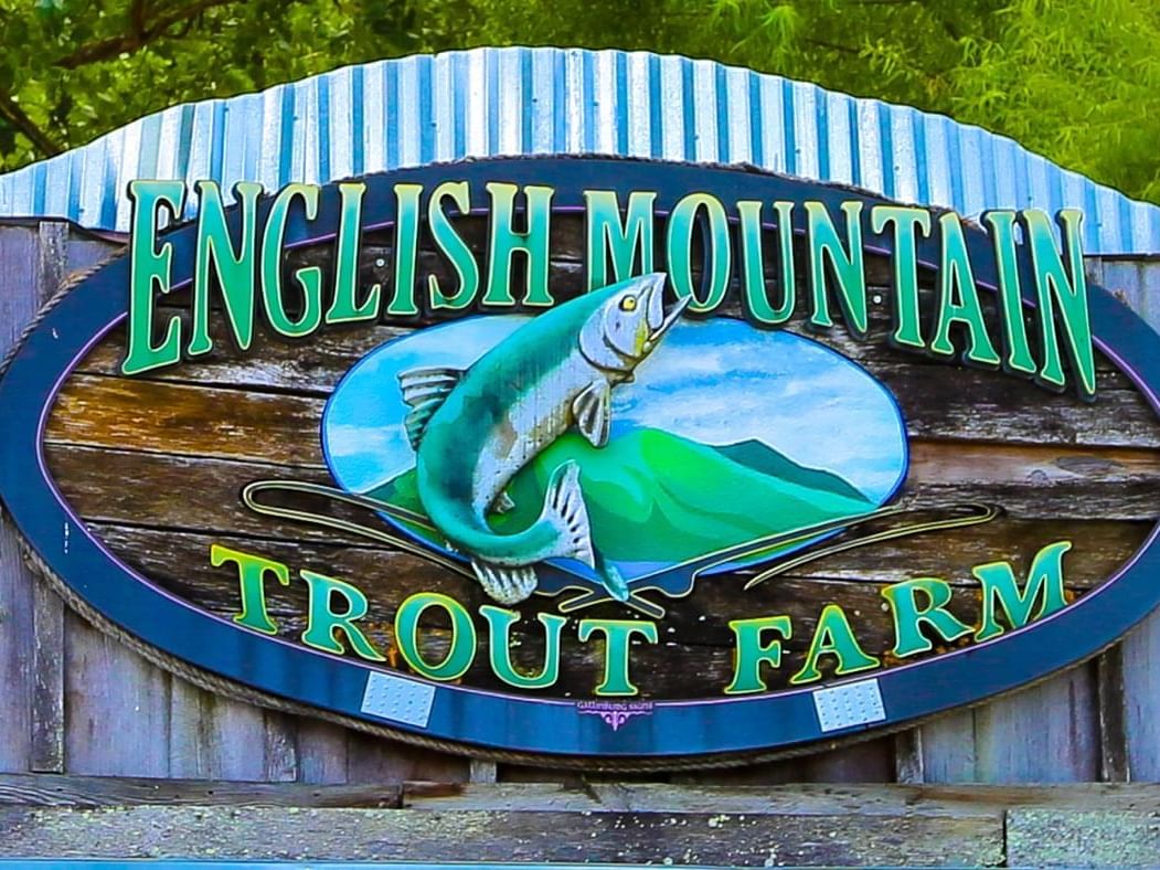 5 Hidden Gem’s Near the Great Smoky Mountains