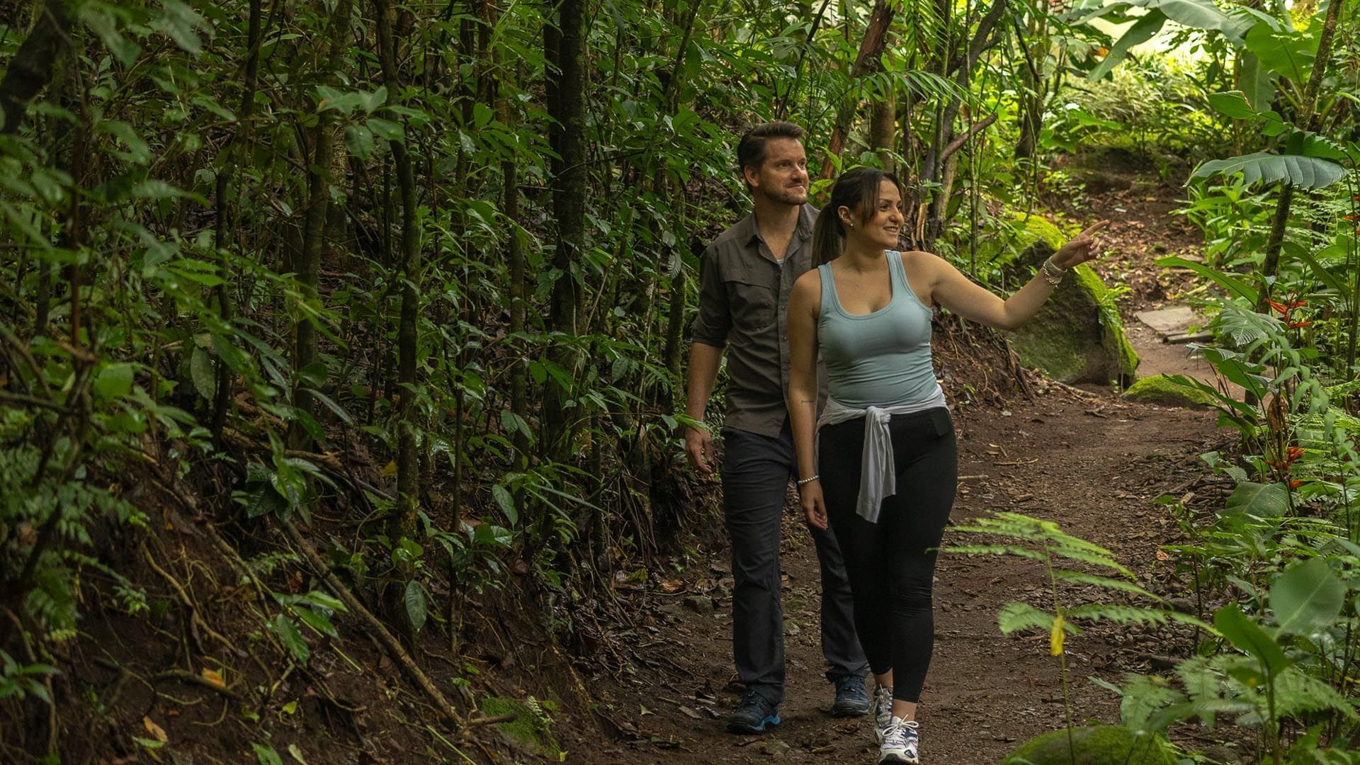 Ficus Sunset Suites | Hotel in Monteverde Costa Rica