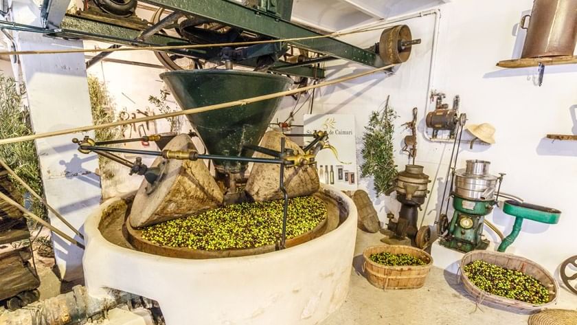 Blog | Que hacer en Soller | Ideas de viaje en Soller y alrededores