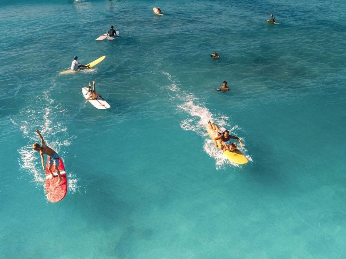 Top Hawaii Spring Festivals and Events to Enjoy in Oahu | Waikiki ...