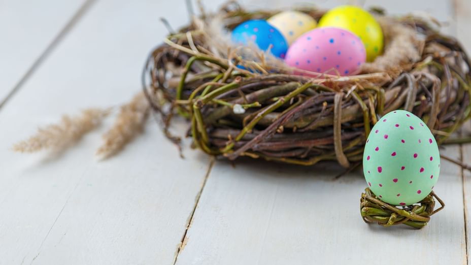 A Norwegian Easter | The Chateaux Deer Valley