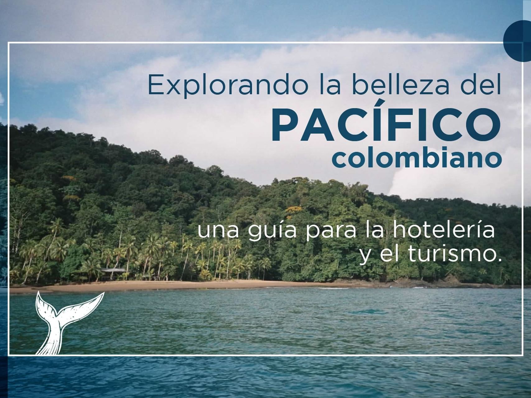 Tips Viajeros Para Tu Próximo Destino El Pacífico Colombiano Cosmos