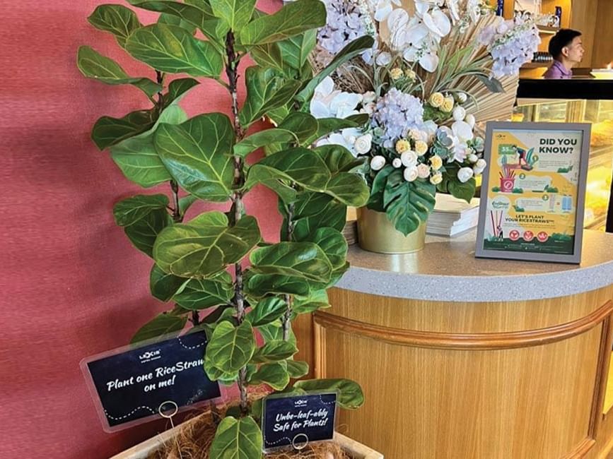 Official Website of Grand Lexis® Port Dickson | Luxury Villa Hotel with ...